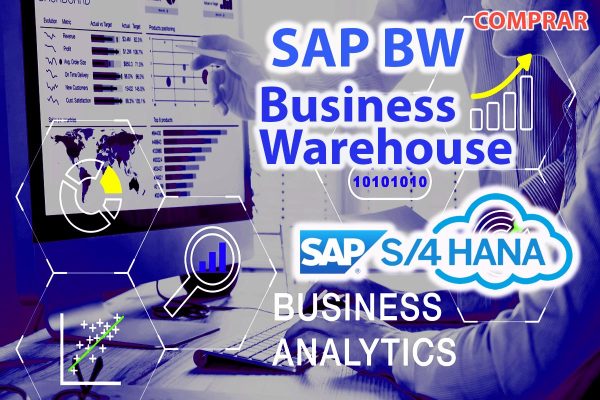 Inteligencia de Negocios SAP/S4 HANA BW – Consultor – cursos